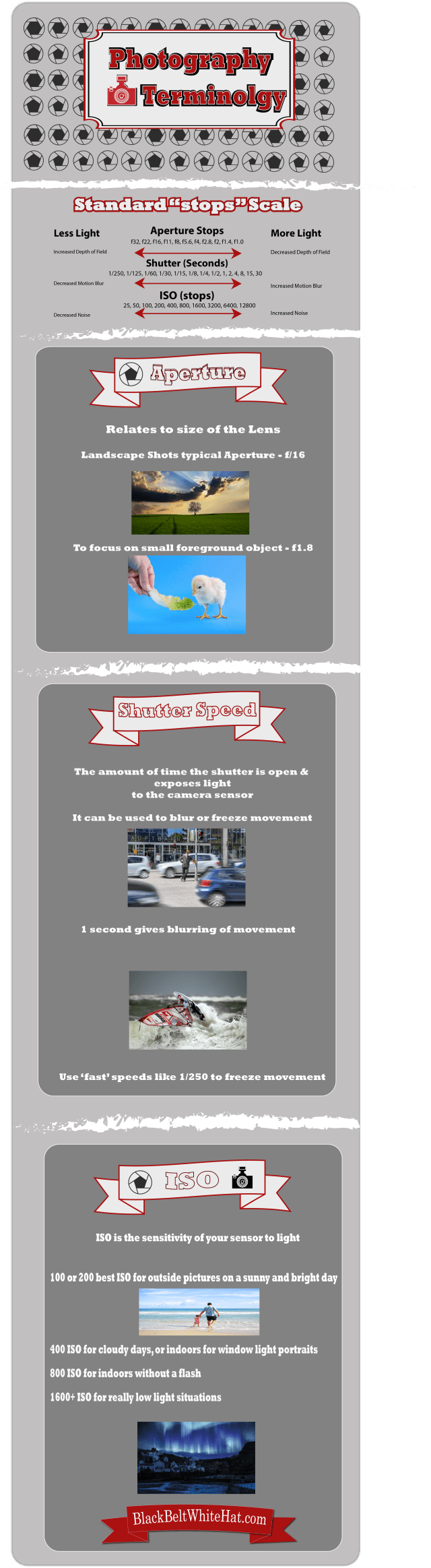 Infographic – Beginner’s Guide to Photography | Fitness & MMA Blog ...