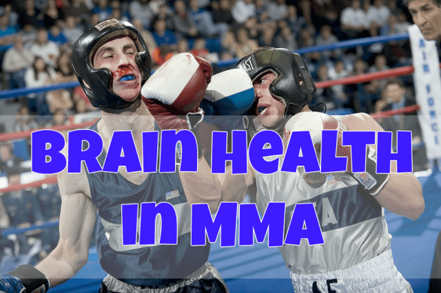 How to Grow New Brain Cells (6 Potent Hacks) 🤓 | Fitness & MMA Blog ...