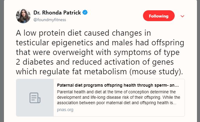 What’s the best protein powder for MMA Fighters? | Fitness & MMA Blog ...