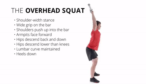 Exercises for Both Strength & Flexibility | Fitness & MMA Blog ...