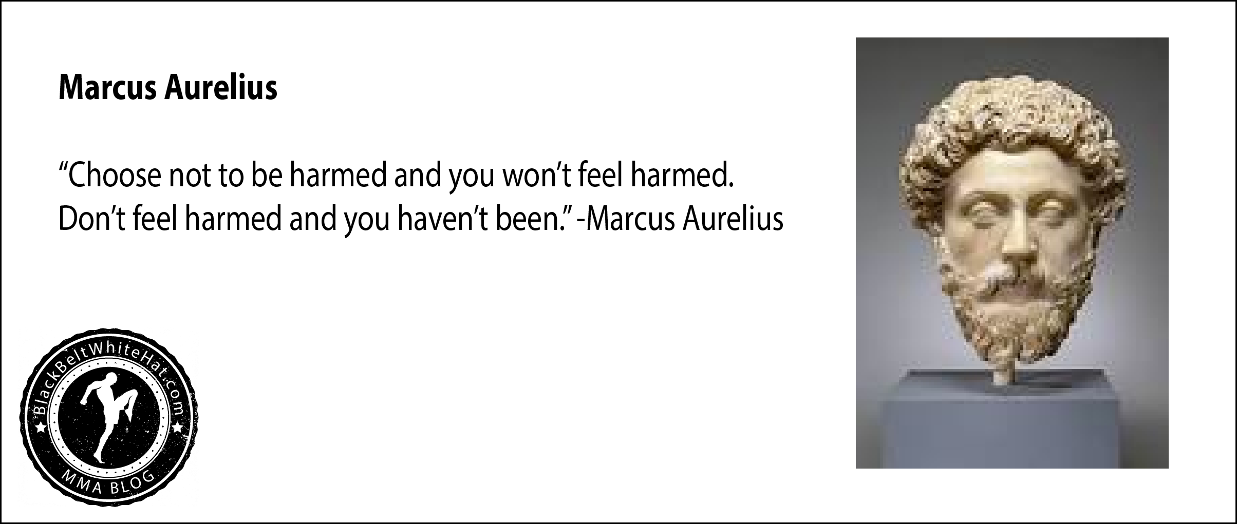 marcus1logo | Fitness & MMA Blog – BlackBeltWhiteHat.com